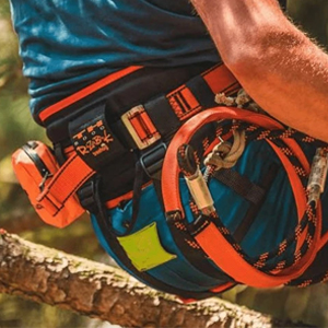 Treehog Climbing Harnesses | ForestAndArb
